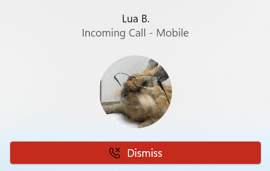 Incoming Call Notifications | MSEdgeExplainers